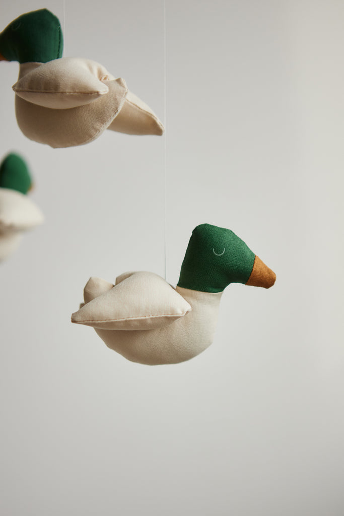 Growth Chart Young – Minor Things